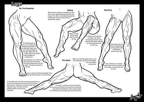How To Draw Muscular Legs