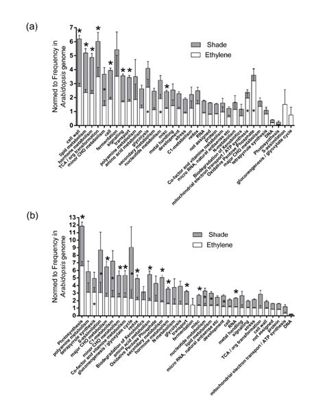 5 Bar Classification Superviewer Analysis For Up A And Down B Download Scientific Diagram