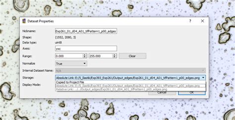 Documentationsharingpublishing Of Existing Ilastik Workflow Usage
