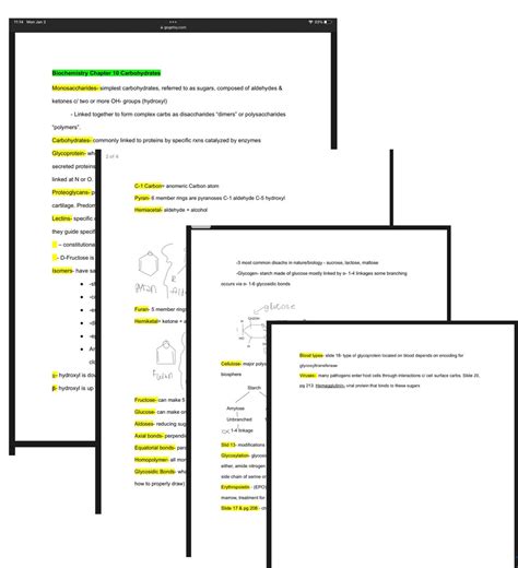 Basic Biochemistry Notes On Carbohydrates Chapter Etsy