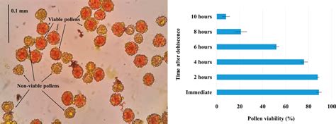 pollen viability test at different time intervals after dehiscence