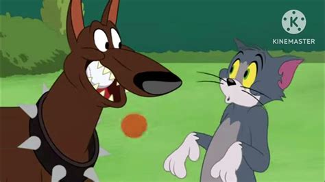 Tom And Jerryتوم والكلب المتوحش والكرة Youtube