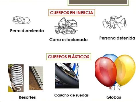 Ejemplos De Productos Elásticos En Diversas Industrias