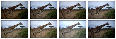 Image Augmentation Mxnet Documentation