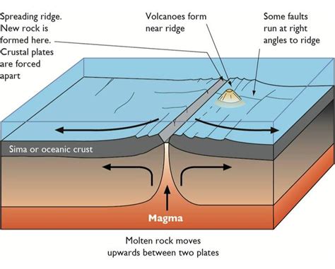 Plate Tectonics