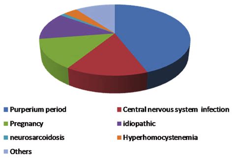 Pie Chart Showing Distribution Of Patients According To Risk Factors