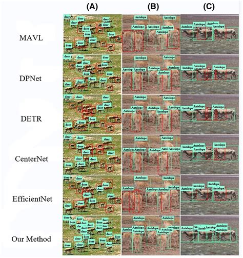 Remote Sensing In Ecology And Conservation Wiley Online Library