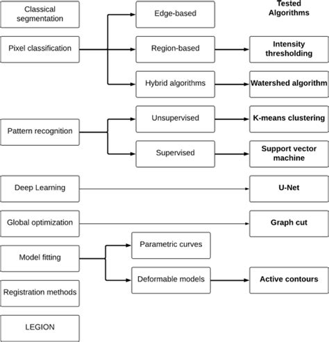 Evaluation Of Segmentation Algorithms For Optical Coherence Tomography