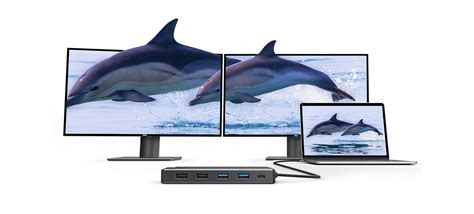 Buy Mv2 Usb C Dual Display Dp Alt Mode Docking Station Online At Alogic