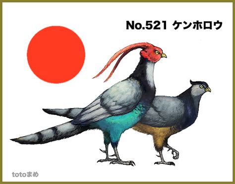 Toto Mame Unfezant Unfezant Female Unfezant Male Nintendo Pokemon Pokemon Bw Bad Id