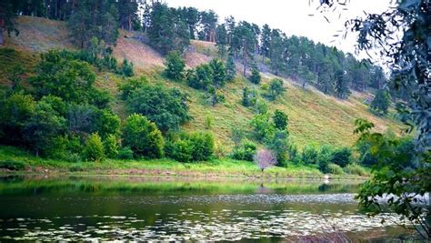Утренние звуки природы и пение птиц на реке