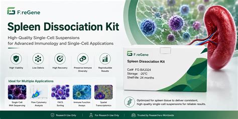 How High Quality Spleen Dissociation Is Powering The Next Generation O