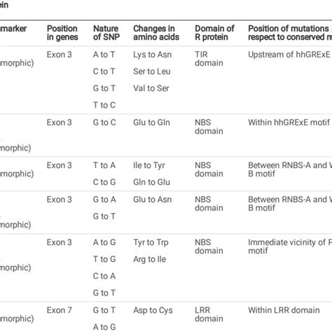 Position And Nature Of Non Synonymous Mutations In Different Conserved Download Scientific