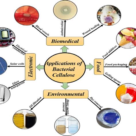 General Applications Of Bacterial Cellulose In Diverse Fields Download Scientific Diagram