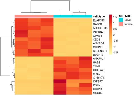Learning Bulk RNAseq
