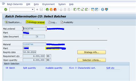 Batch Determination E Does Not Correspond To S Sap Community