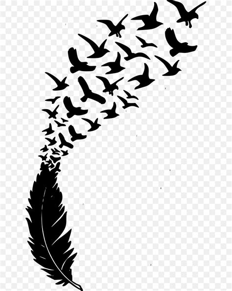 Bird Vector Graphics Feather Stock Illustration Png 639x1028px Bird