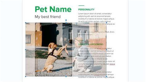 How To Crop An Image In Google Docs 2025 Vegadocs