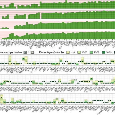 distribution of the percentage of reliable paralogous sequence variants
