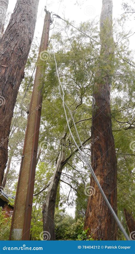 Telephone Trunk Dialling System Serie Circa 1970 Editorial Image 117992586