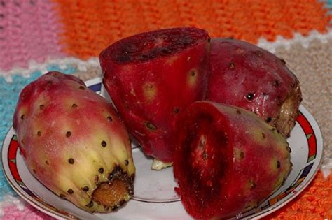 Домашние кактусы (90 фото): виды, как ухаживать, полив