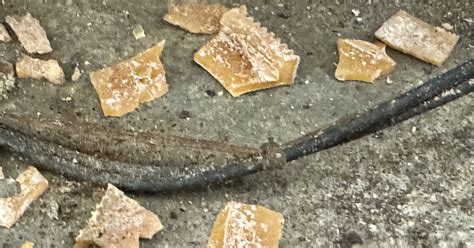 Rescue Pickup Of An IBM System And More Starting Restoration Of An IBM