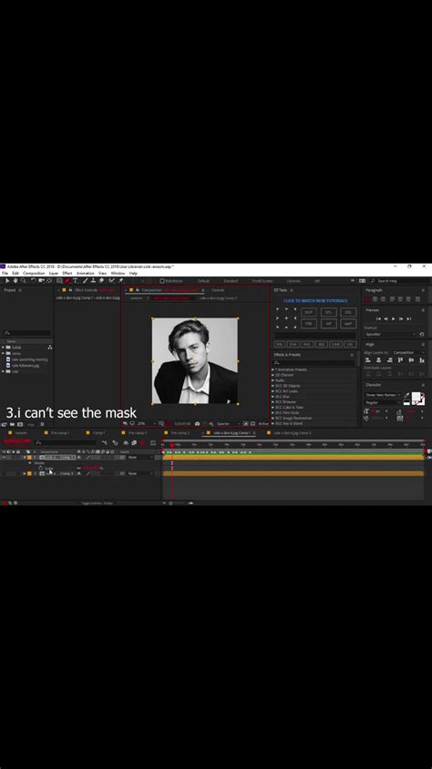 I Cant See Transform Handle And Mask Adobe Support Community 12009546