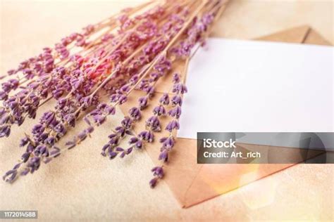 밝은 배경에 크래프트 봉투와 라벤더 꽃 빈 종이 서명을 위한 깨끗한 엽서 개념에 대한 스톡 사진 및 기타 이미지 개념 개념과 주제 고정됨 Istock