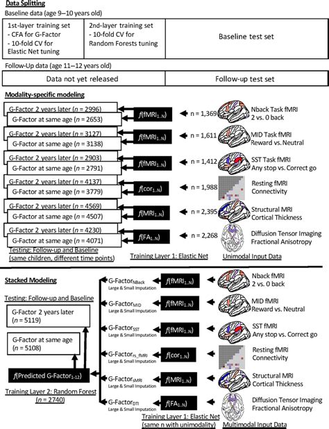 Longitudinal Predictive Modelling Approach Used For Out‐of‐sample Download Scientific Diagram