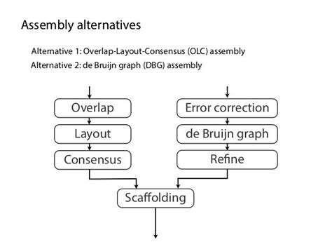 Overlap Layout Consensus Assembly