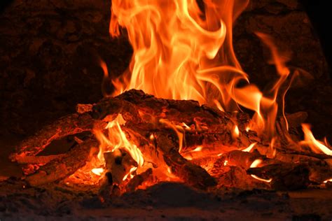 가벼운 광야 나무 나무 굽기 노란색 따뜻함 뜨거운 러스틱 레크리에이션 모닥불 모험 바비큐 밤 벽난로 불