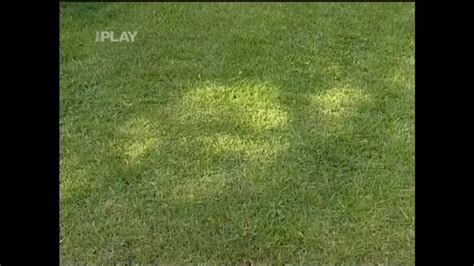 Biologická Aktivace Trávníku Receptář Prima Nápadů Prima Ženy