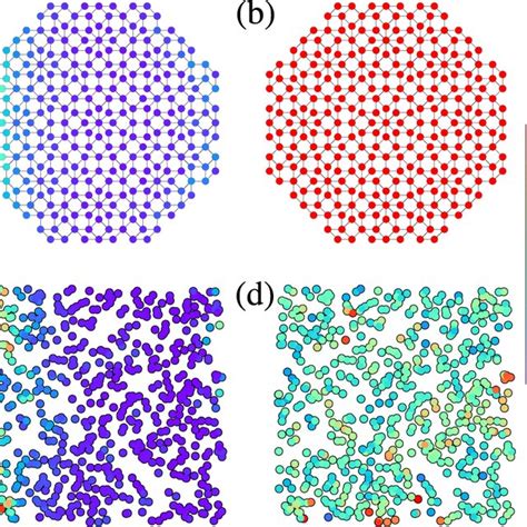 Non Hermitian Nh Second Order Skin Effect And Associated Phase Download Scientific Diagram