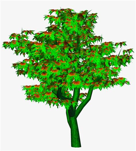 Tree Png Photoshop Editing Png Cb Edits Png New Cb Editing All Png PNG Image Transparent