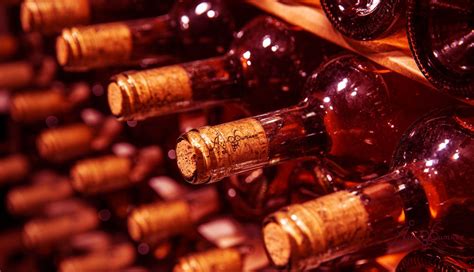 Агрофитнес Вина Дегустации и Винен туризъм