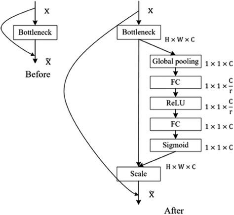 A Densenet‐based Feature Weighting Convolutional Network Recognition Model And Its Application