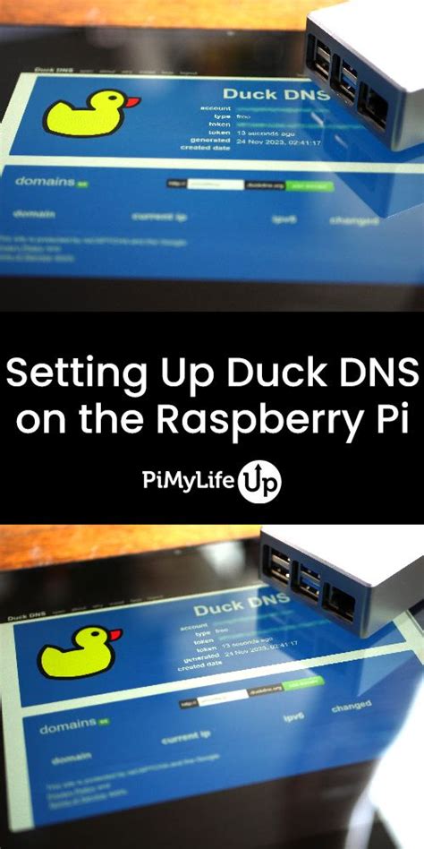 How To Set Up Duck Dns On The Raspberry Pi Raspberry Pi Raspberry