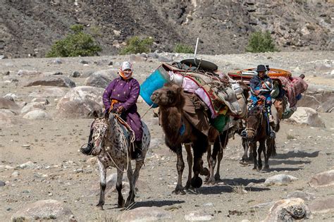 Migrate With Nomadic Herders Nomadify