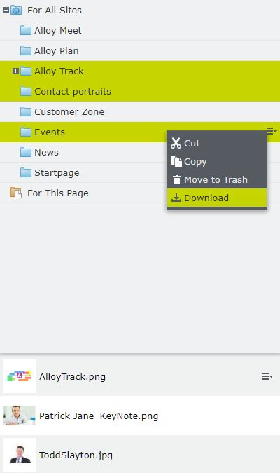Download Folder With Assets As Zip Grzegorz Wiecheć