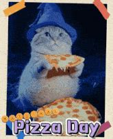 Gatti Che Mangiano Pizza  Pizza S Tenor