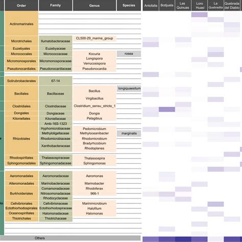Relative Abundance And Taxonomic Assignment Of The Main Phyla Download Scientific Diagram