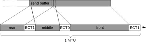 Figure 2 From Tcp Prague Fall Back On Detection Of A Classic Ecn Aqm