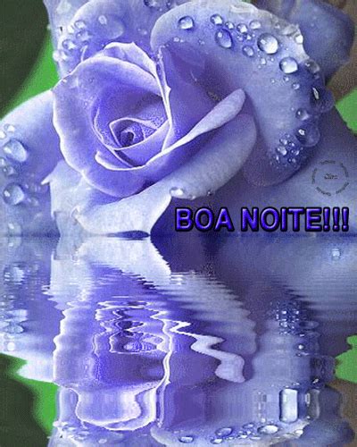 Pin By Loirinha 👩 On Bom Dia Blue Roses Beautiful Flowers Wallpapers