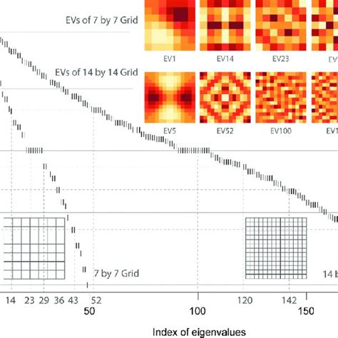Illustration Of A Specimen Polygon Data Set Download Scientific Diagram