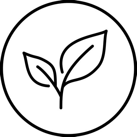 Estraderm Cream Natural Estrogen Replacement Therapy