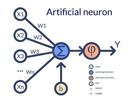 Mathematical Scheme Of The Artificial Neuron Multiple Inputs Weight Bias Summing And