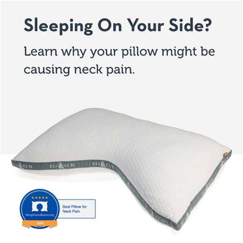 Eli And Elm Create The Movement