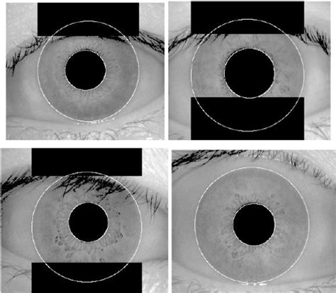 automatic segmentation of various images from the casia database black