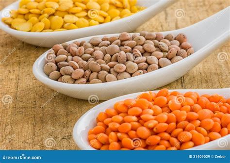 Different Types Of Lentils On Spoons Royalty Free Stock Images Image 31409029