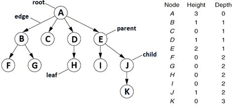 Java 树与图详解 无涯教程网
